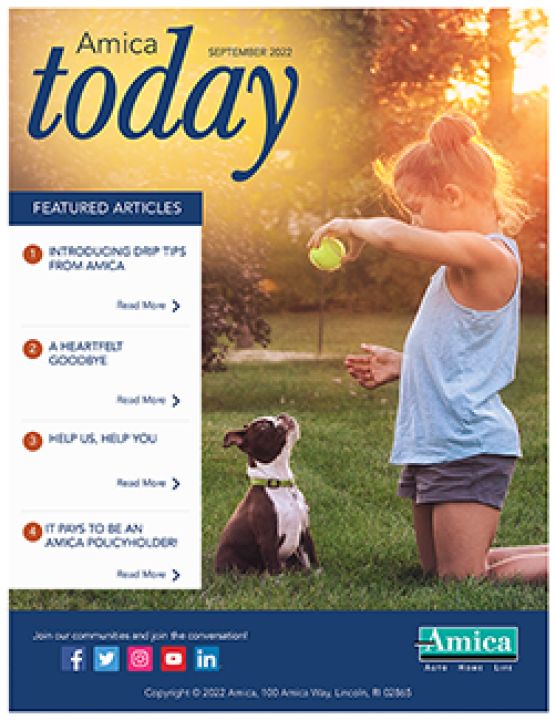 Media Center | Amica