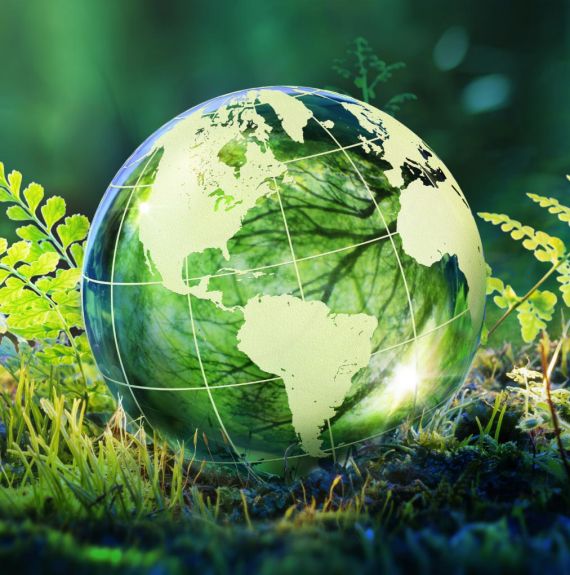 ESG – Planet | Amica