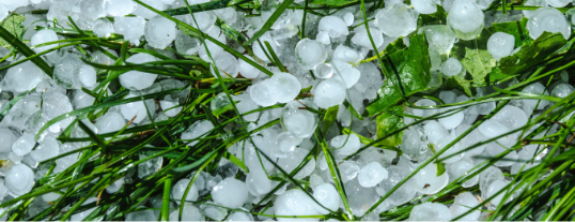 Hail | Amica Storm Center