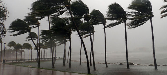 Hurricane | Amica Storm Center